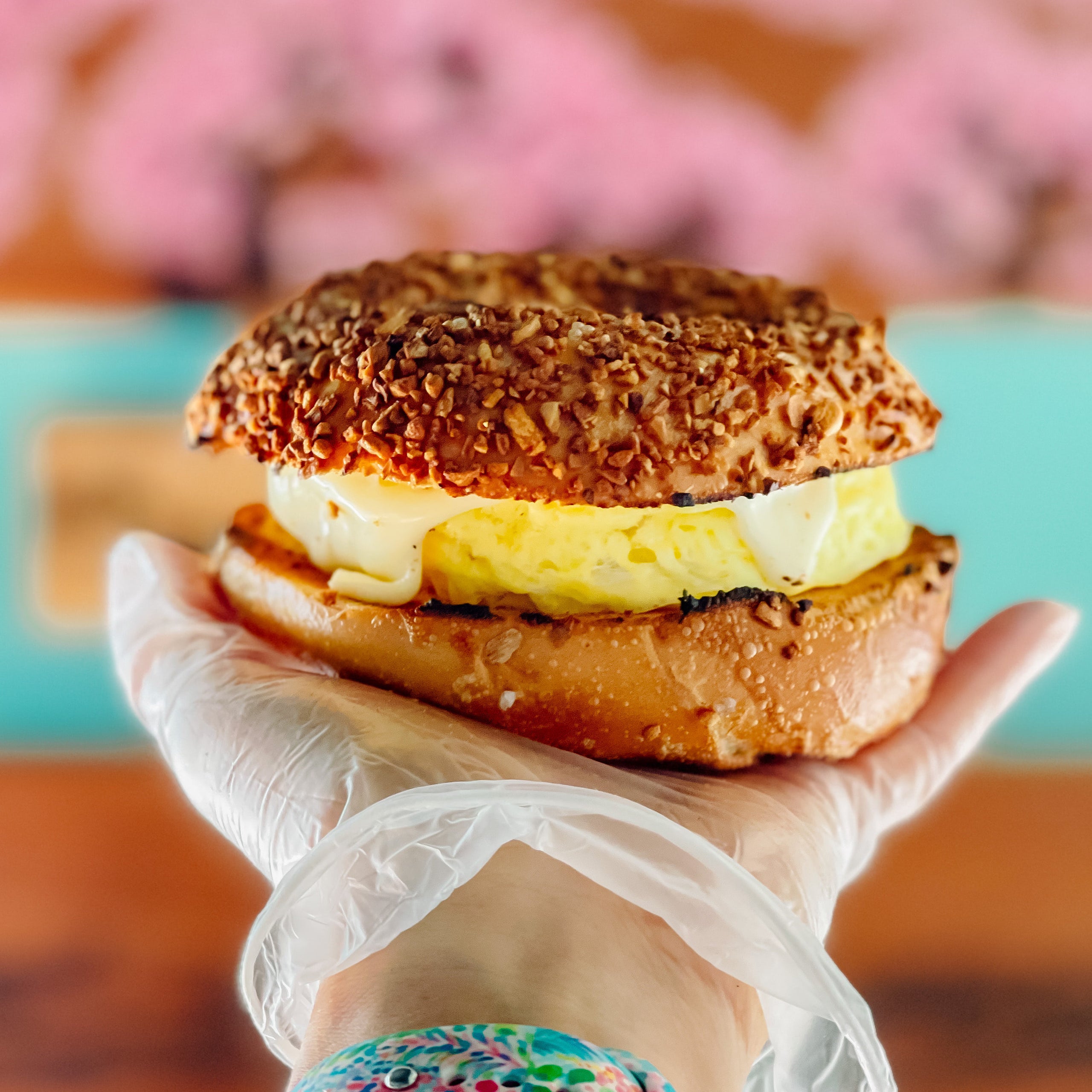 Cape Cod Bagel | Egg & Cheese Sandwich | Cape Cod Bagel